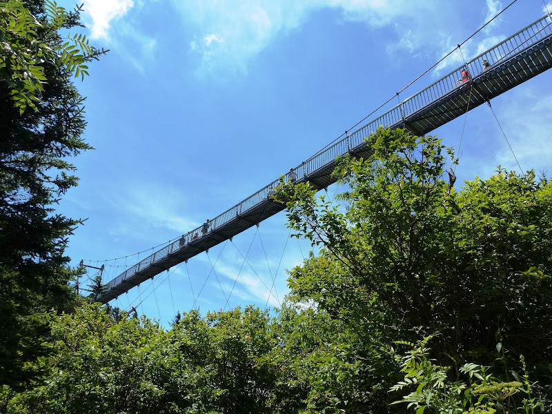 North Carolina Hikes: Grandfather Mountain Mile High Swinging Bridge
