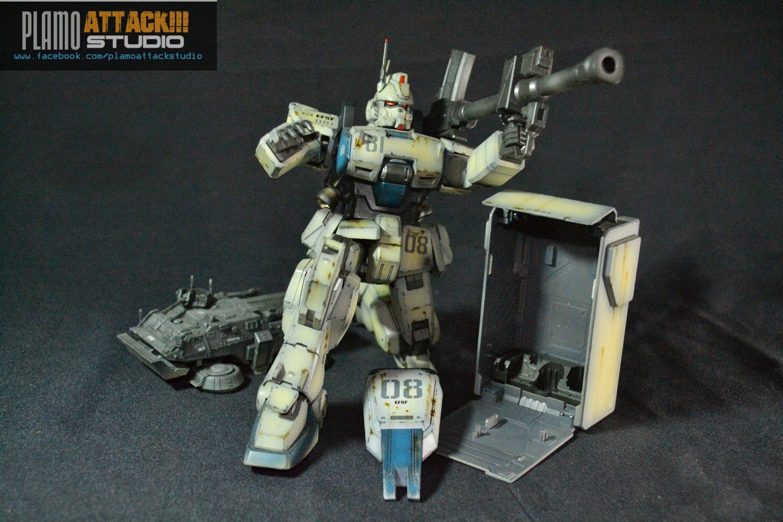 Custom Build: MG 1/100 RX-79[G]Ez-8 Gundam Ez8