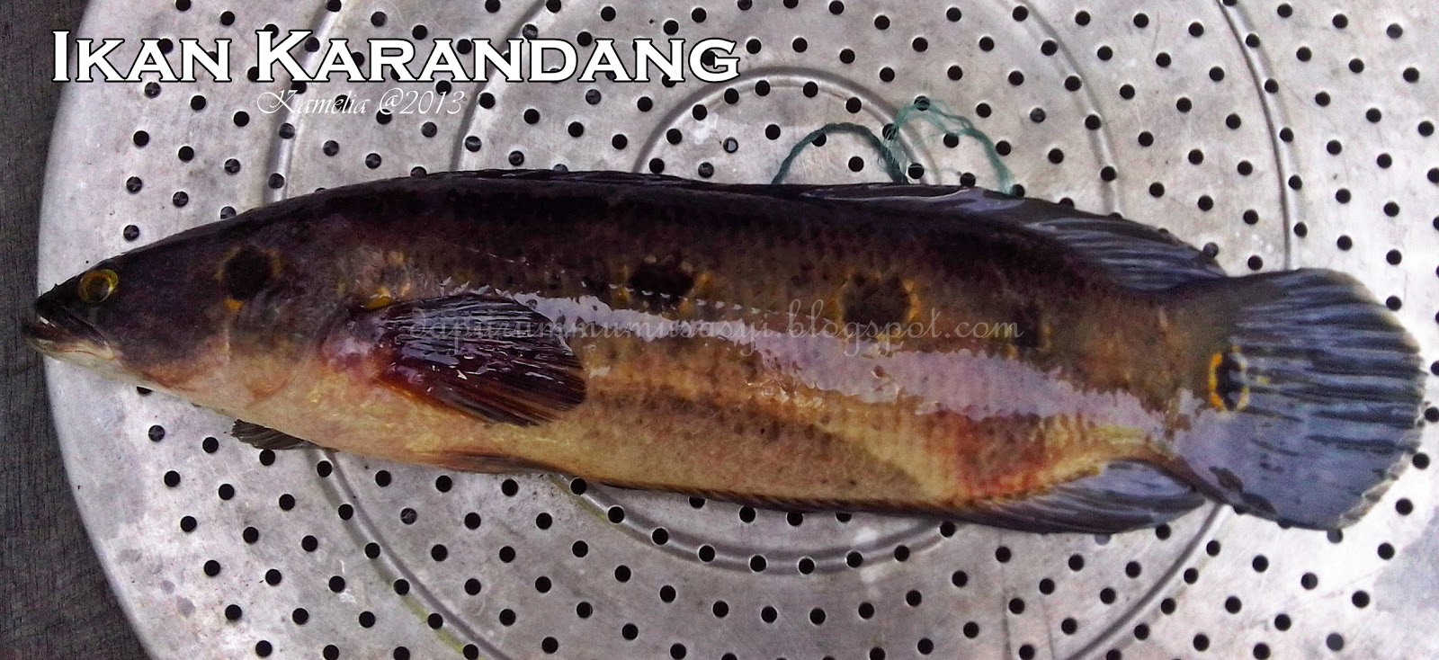Cozy Kitchen : Ikan Karandang