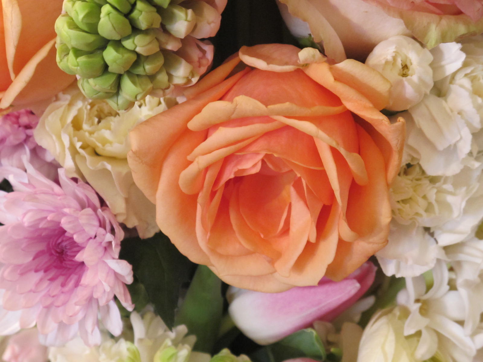 The Flower Appreciation Society: Our floral microphone stand for Fred ...