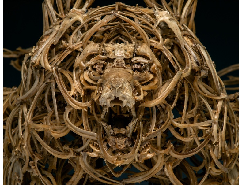 Bones are beautifully turned into sculptures by an English dedicate ...