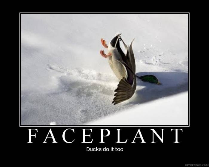 World Wildness Web: Faceplant