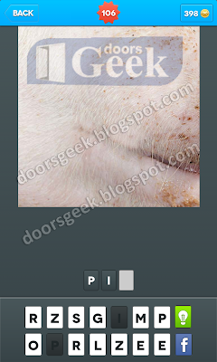 Zoomed In - Photo Word Game Level 106 ~ Doors Geek