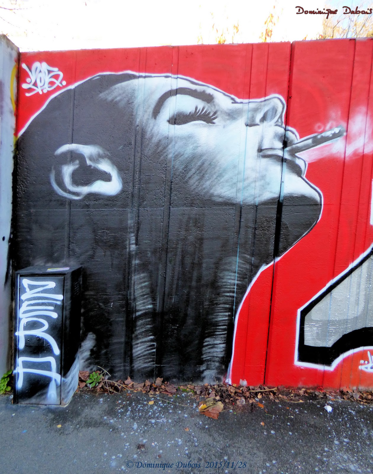 Détours de France. : Le Graff du jour. 11 mai 2017