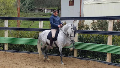 scuderia mario cardamone: CAVALLI IN VENDITA