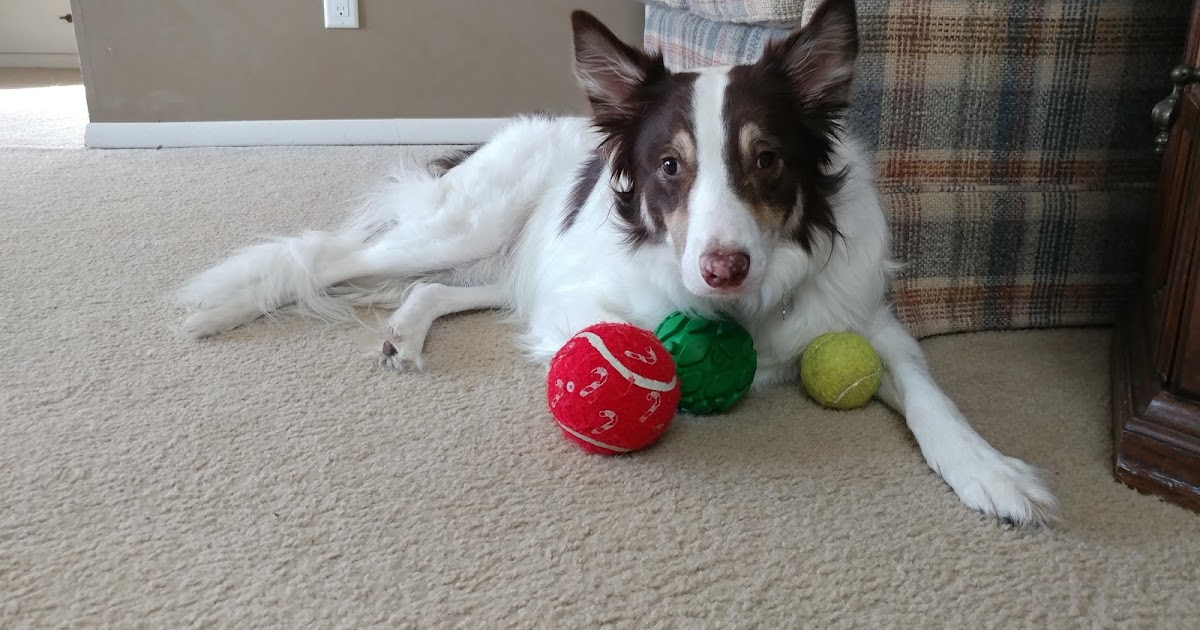 Beren's Tale: Ball Hoarder