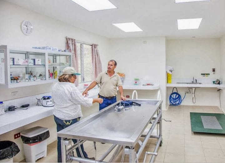 Tourism In El Salvador : Fundacion Refugio Salvaje (FURESA)