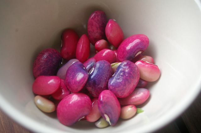 Frolics From Scratch: Rainbow Veggies