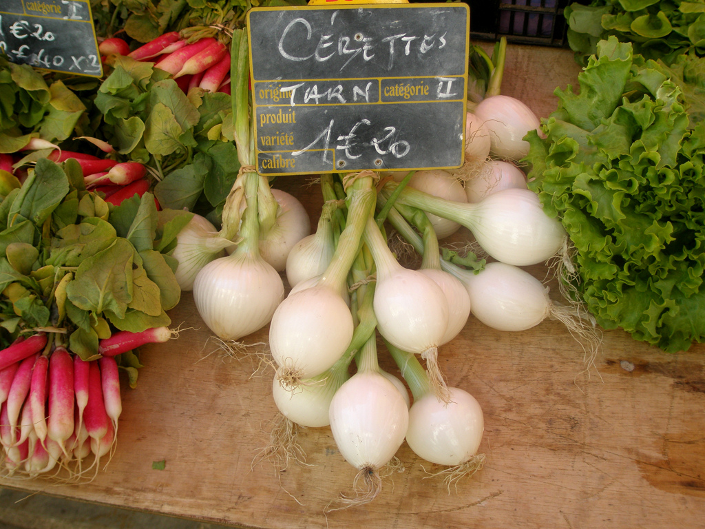 cebette - France news collections