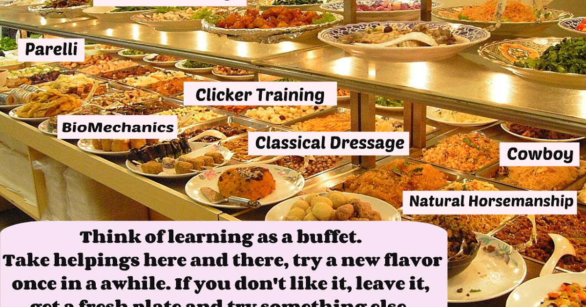 Pippi - Dressage Paint!: The Learning Buffet