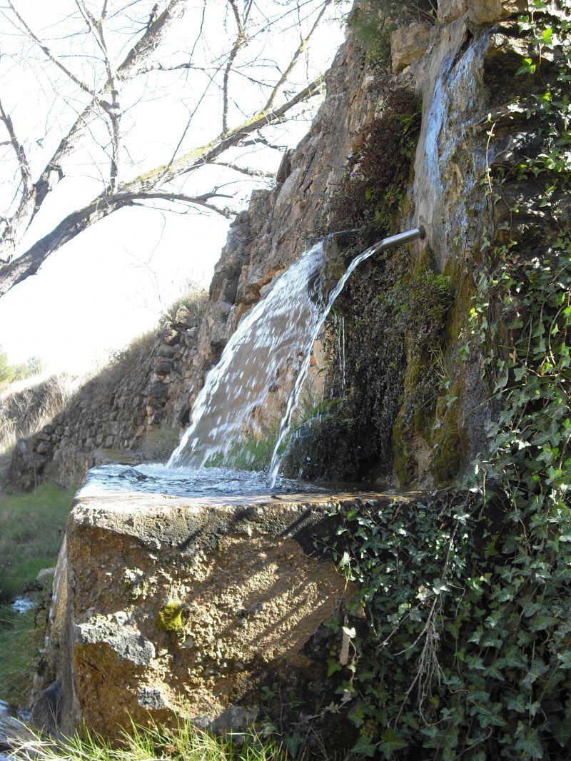 Mitos, Leyendas y otras Criaturas: FONTUS