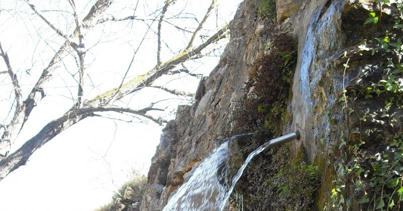 Mitos, Leyendas y otras Criaturas: FONTUS