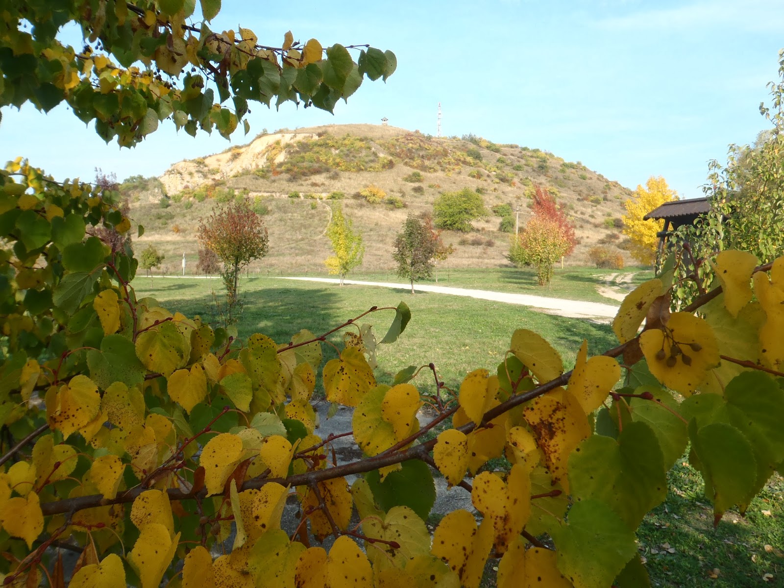 Kirándulóutak Magyarországon : Az esztergomi Strázsa-hegy és a dorogi ...