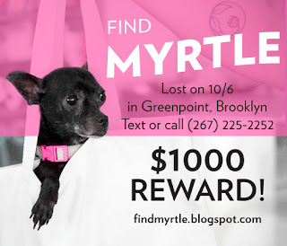 Find Myrtle: Fliers