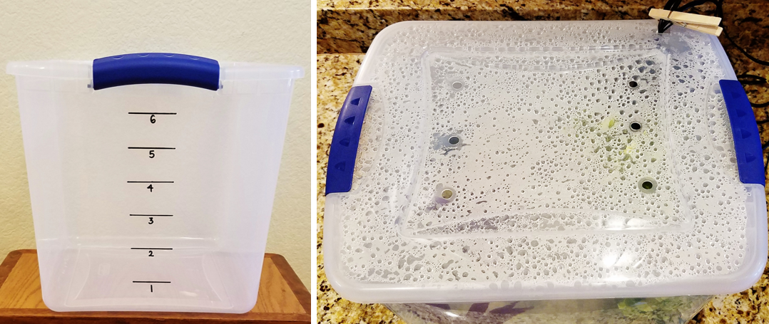 A GAMER'S WIFE: Fish Quarantine 101: How to Set Up a DIY Quarantine ...