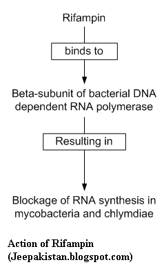 Your Source of Information: Rifampin
