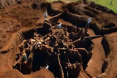 The Insect World: The Ant Colony Revealed.