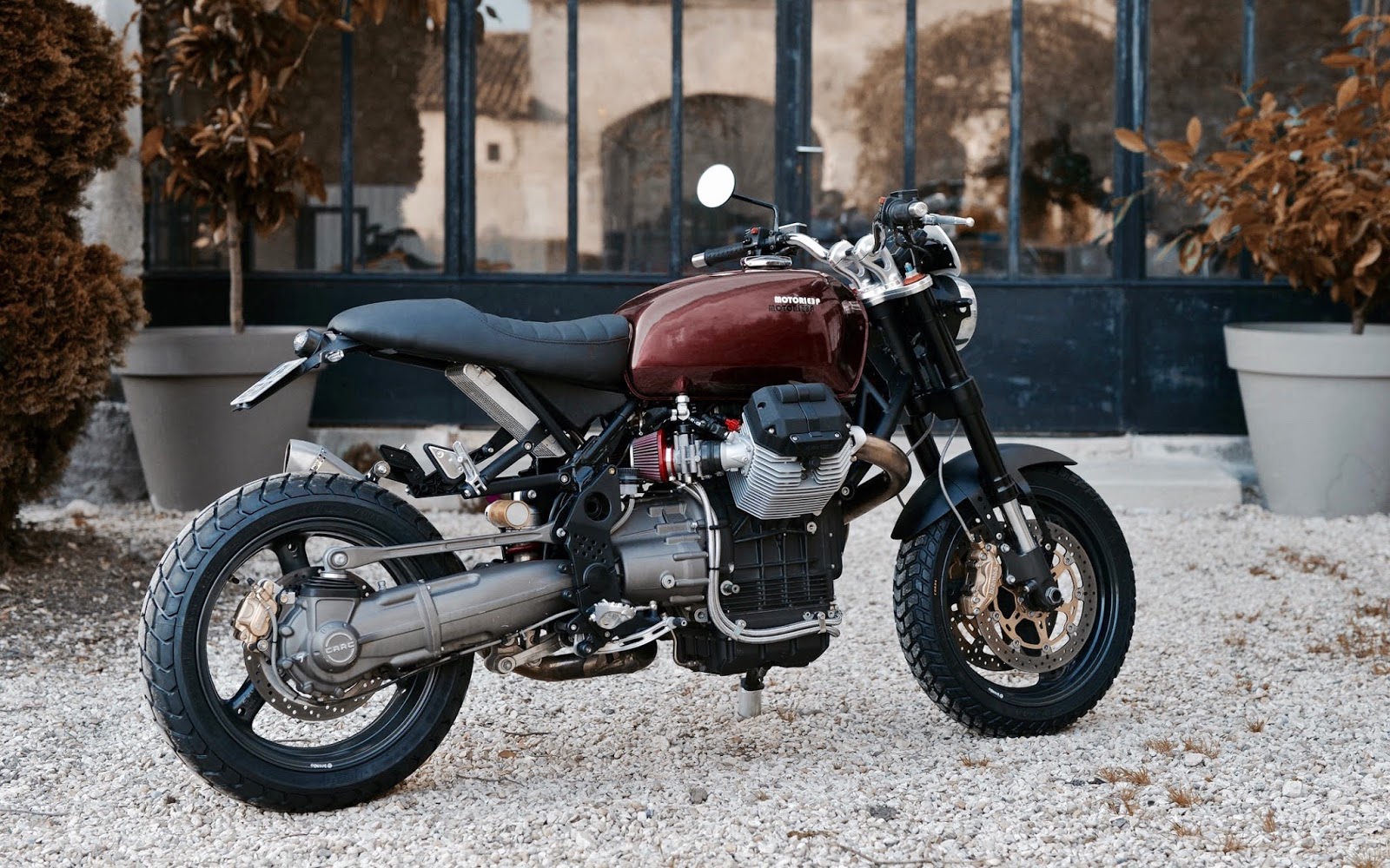 Guzzi... Griso? - Inazuma café racer