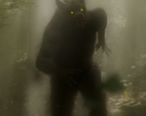 Please enable JavaScript