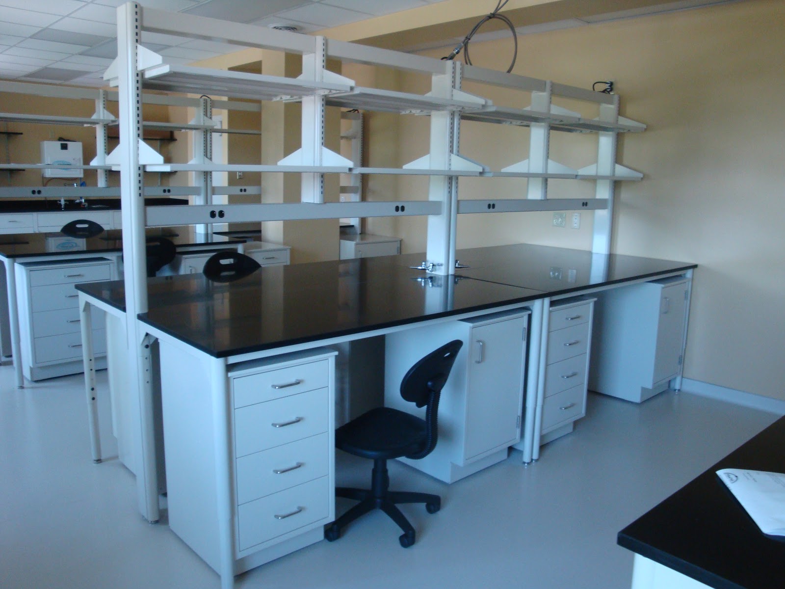 DEHS UMN Ergonomics: Innovations in Laboratory Ergonomics