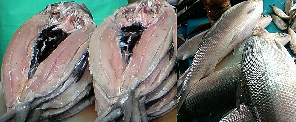 Milk Fish | Bangus nilagpang food recipes