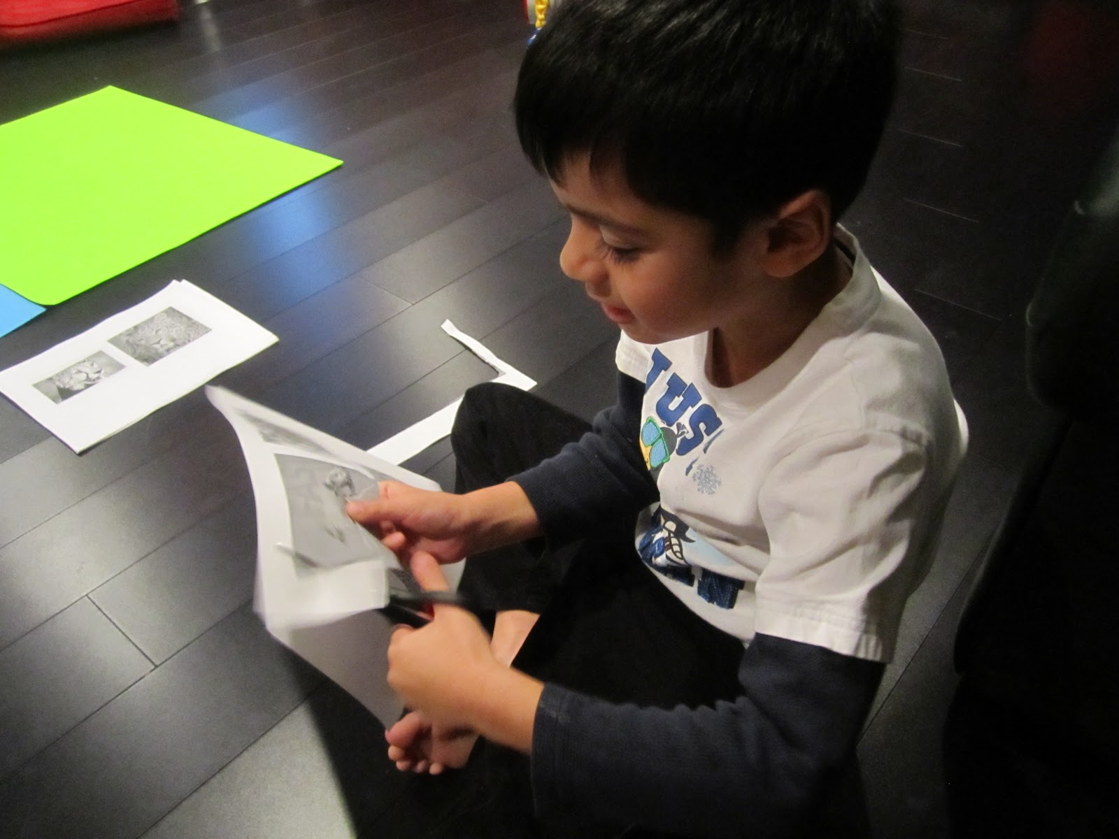 A Science Project in First Grade