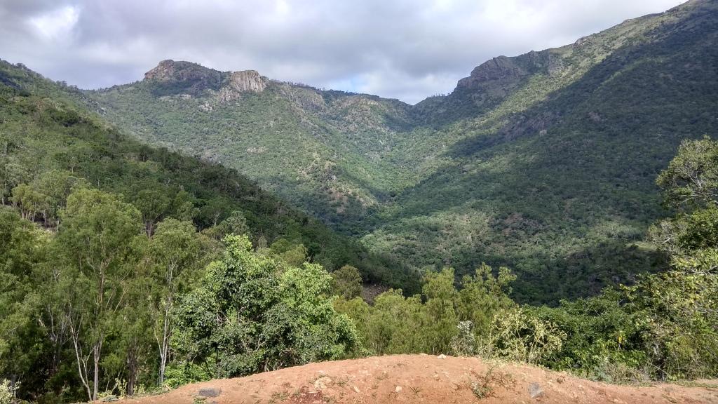 Tamilnadu Tourism: Bison Valley View Point, Ooty, Nilgiris