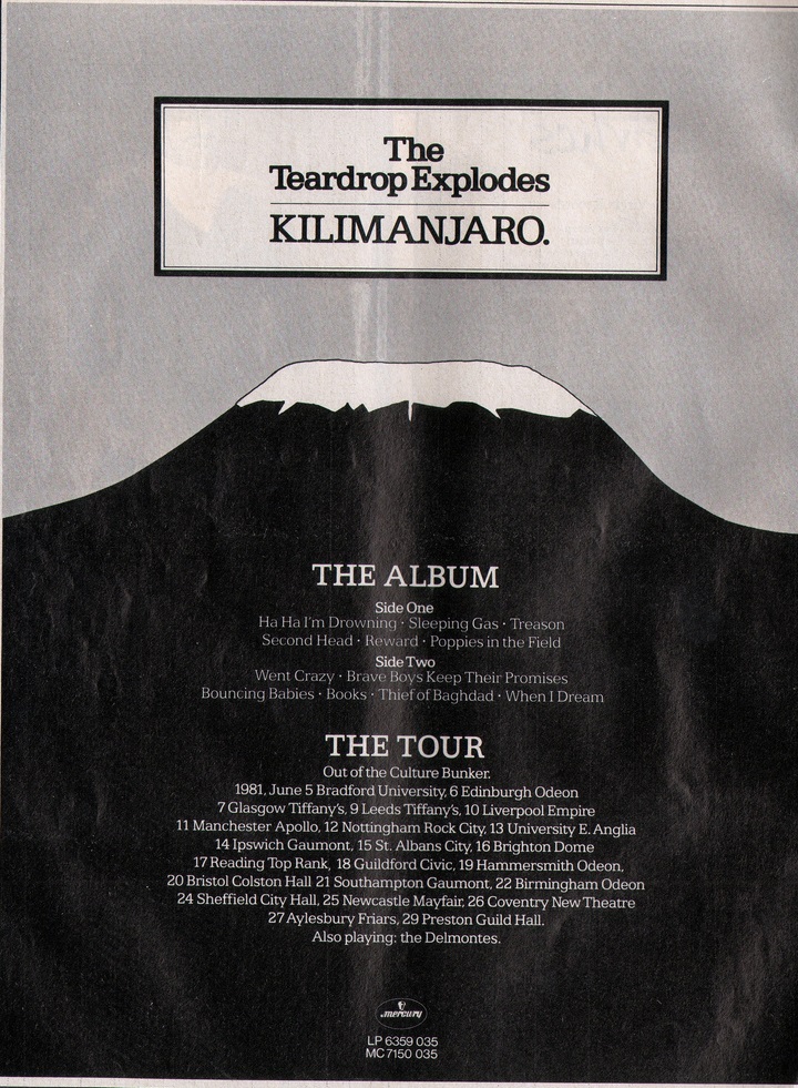 Top Of The Pop Culture 80s: The Teardrop Explodes - Kilimanjaro - 1980