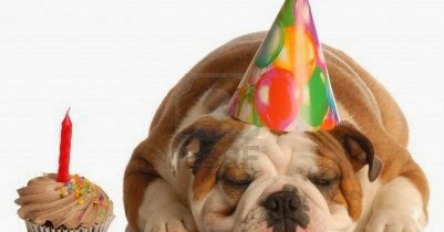 Everyday Idioms!!!: Party Pooper