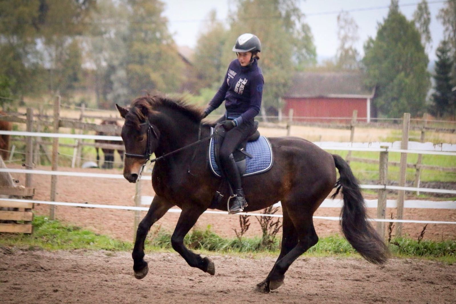 Kylmäverisen matkassa