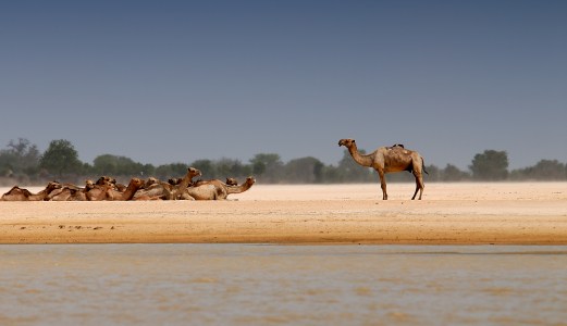 TCHAD-ACTU. L'INFO EN TEMPS NORMAL: TOURISME ET VOYAGE AU COEUR DU TCHAD