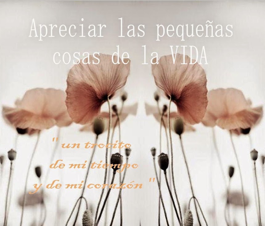 Los Ingredientes de La Vida: "Apreciar Las Cosas"