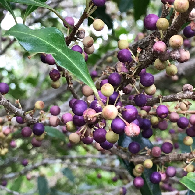 Rustnstuff: A few bits from my meanderings