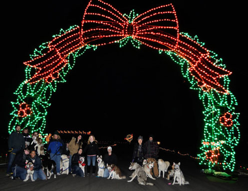 Cinnamon the Traveling Coonhound: Walk Your Dog and See the Christmas ...