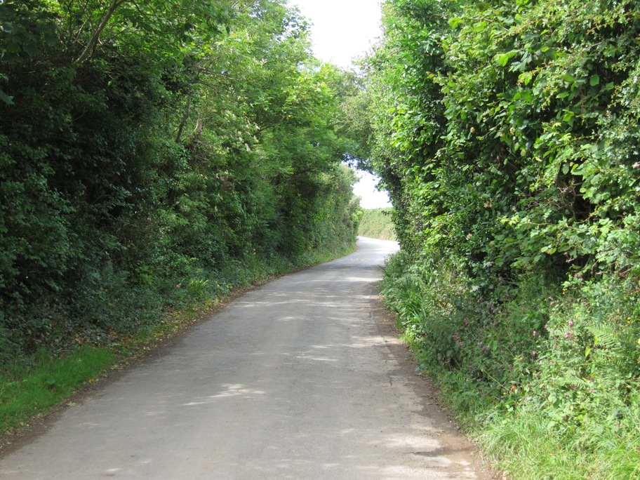 drivingandlife: The Doc's Domain