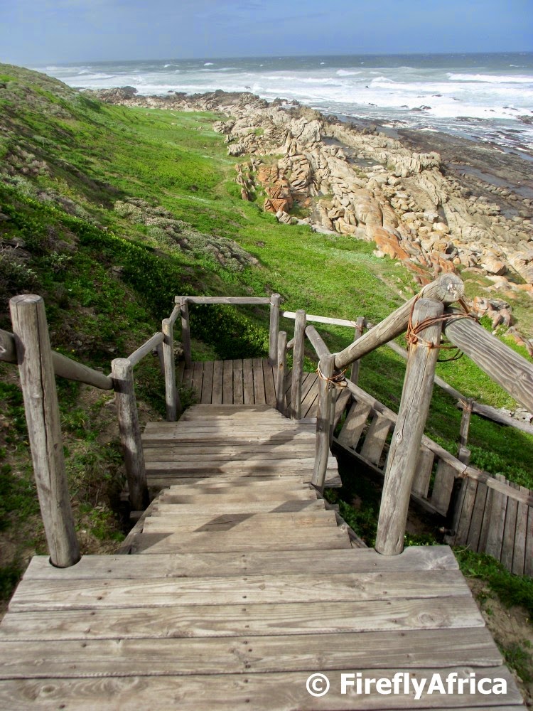 Port Elizabeth Daily Photo: June 2014