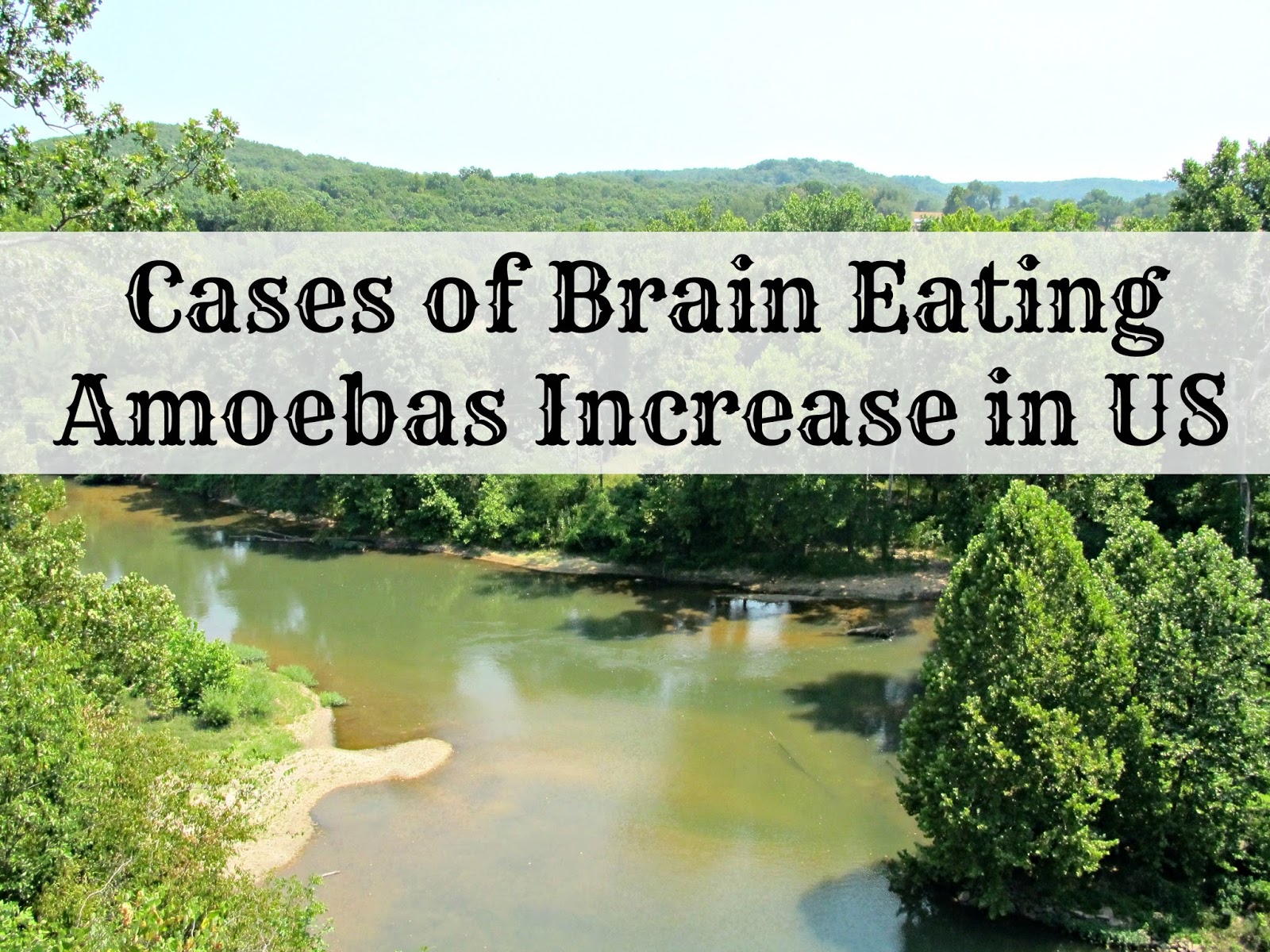 The Deal Detective Mom: Cases of Brain Eating Amoebas Increase in US