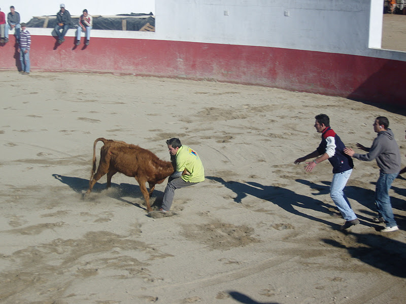 Farpas Blogue: Forcados da Tertúlia do Montijo: primeiro treino em Sousel