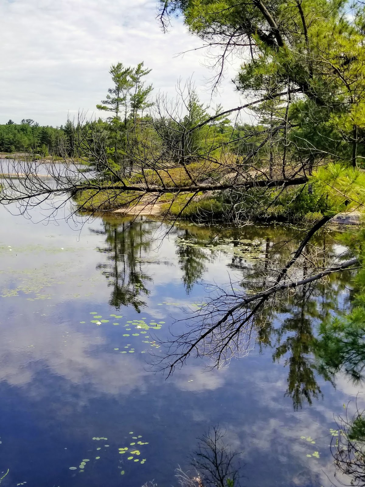 Sum Escape: Cruising the Canadian Shield. Chimney Bay, Beckwith Island ...