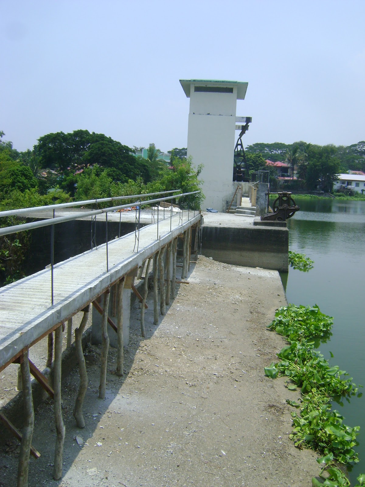 Dince's Chronicles: 2013