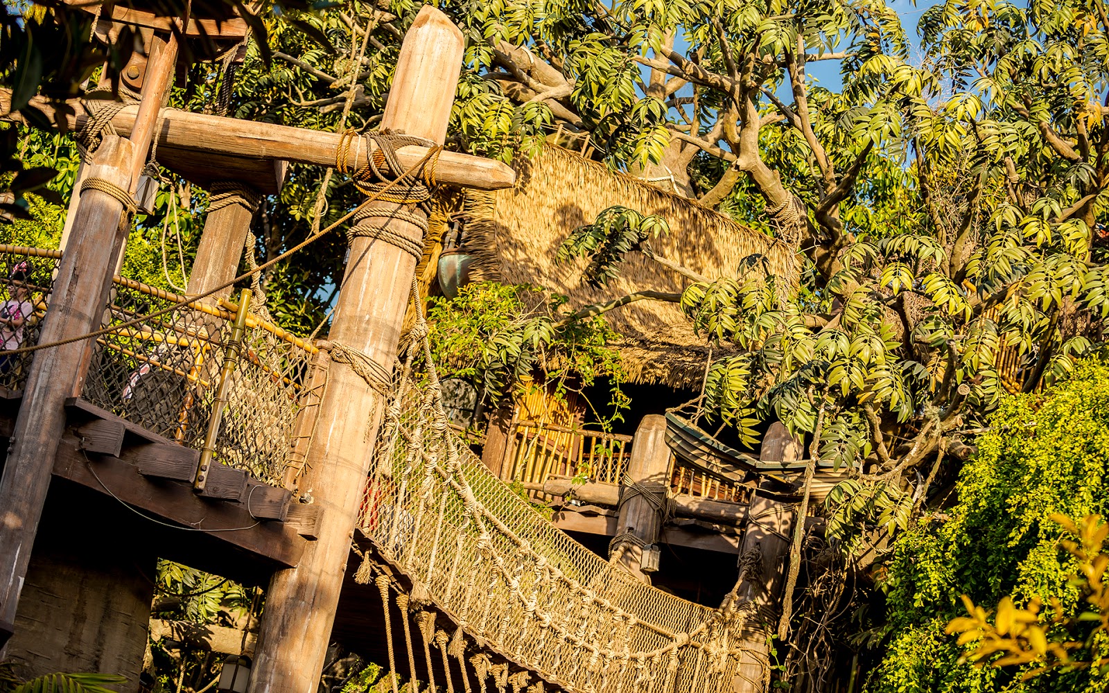 Scenes at the Treehouse