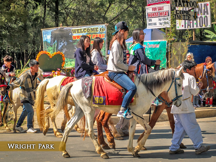 Transient houses in Baguio City near Burnham Park? - Traveling by default.
