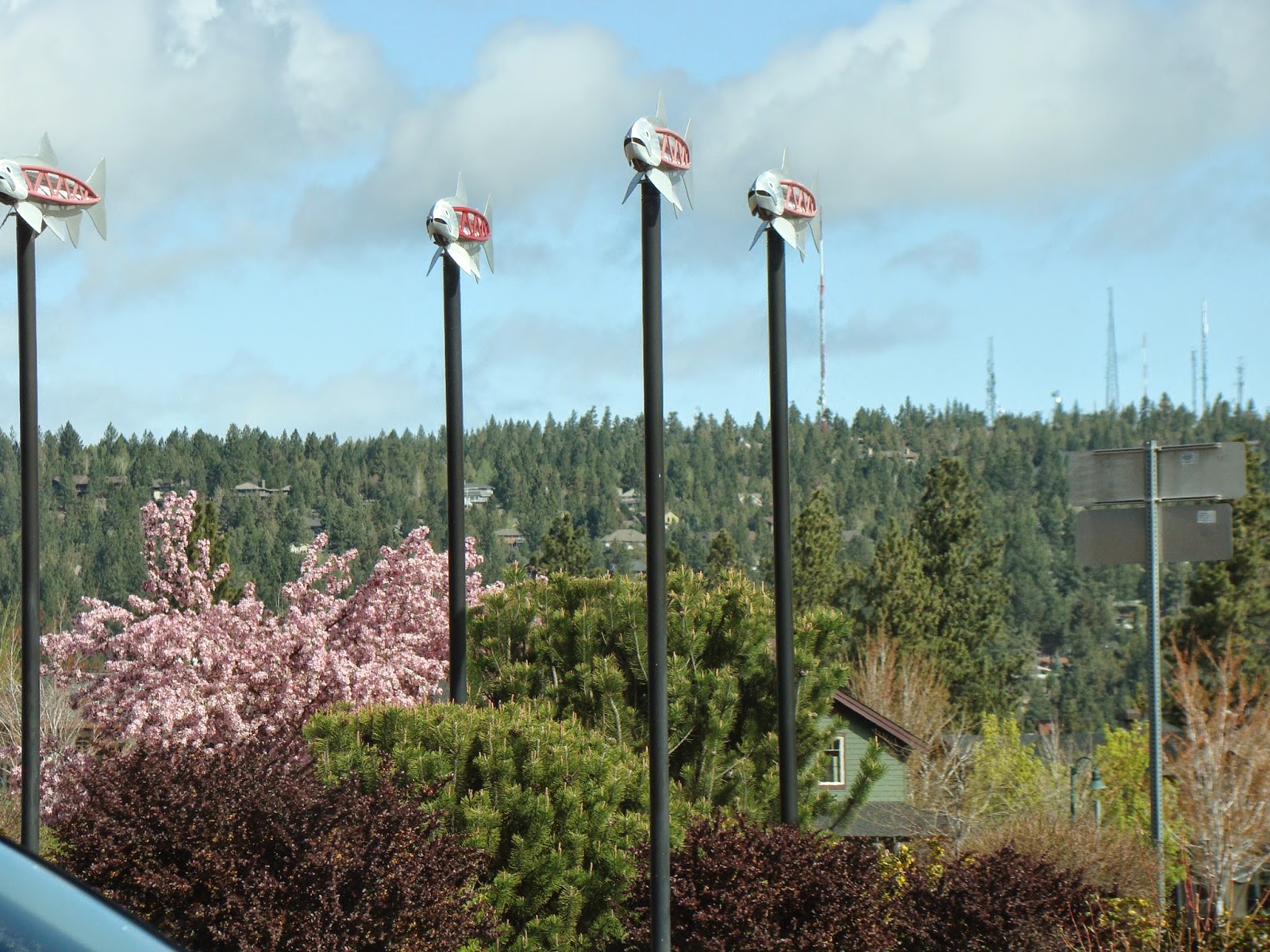 BB, Henri and Me: Bend Oregon: Roundabout Art