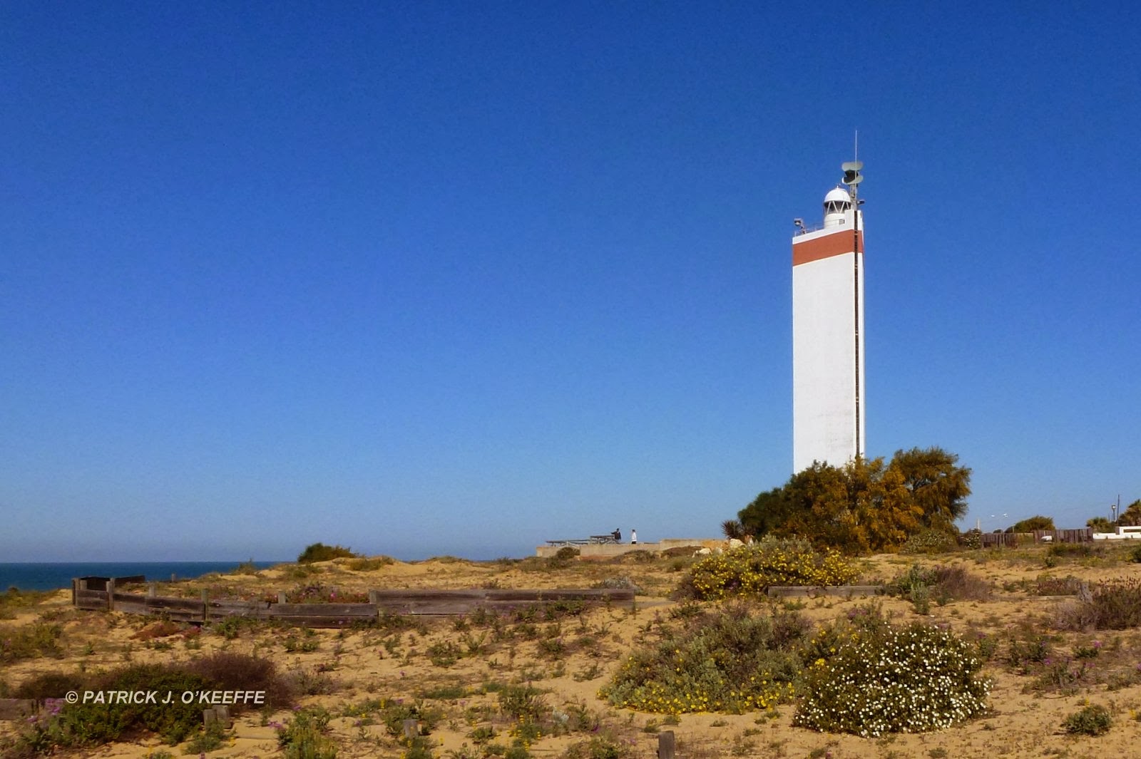 Raw Birds: MATALASCANAS LIGHTHOUSE Almonte, Huelva, Spain