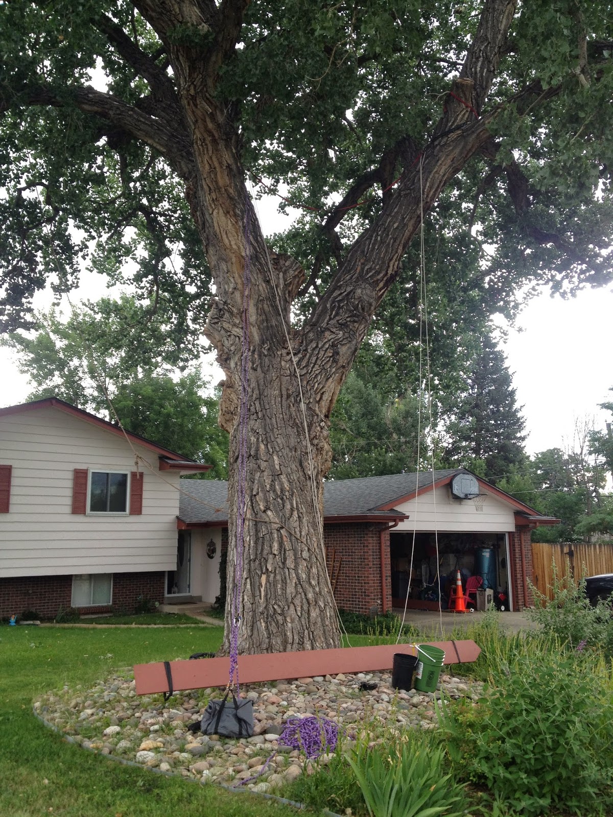 The Treehouser: Part 6: Hoisting the First Treehouse Beam