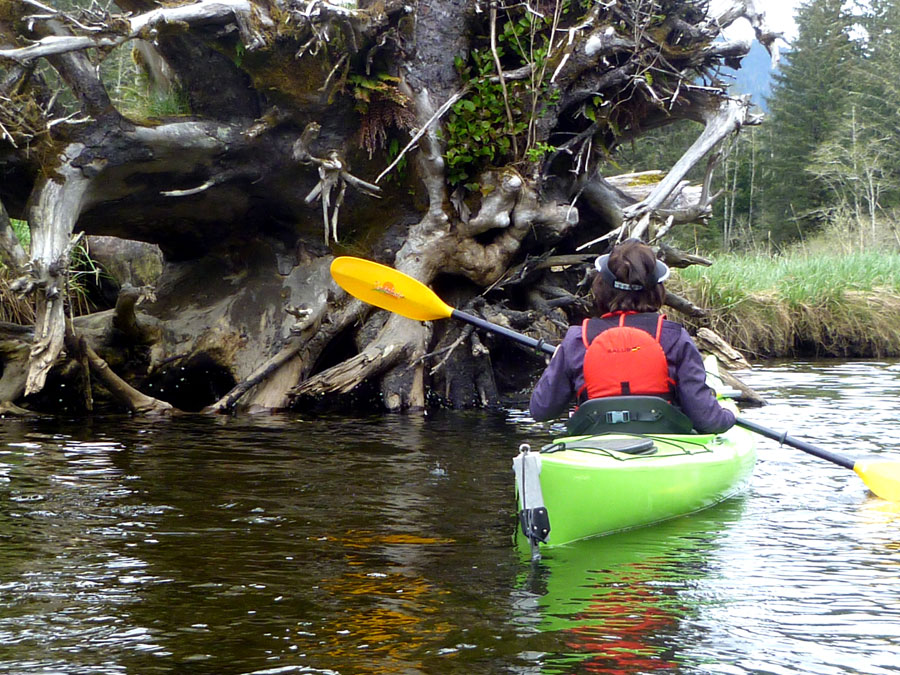 Vancouver Island Travel & Tourism: Kayaking the San Juan River at Port ...