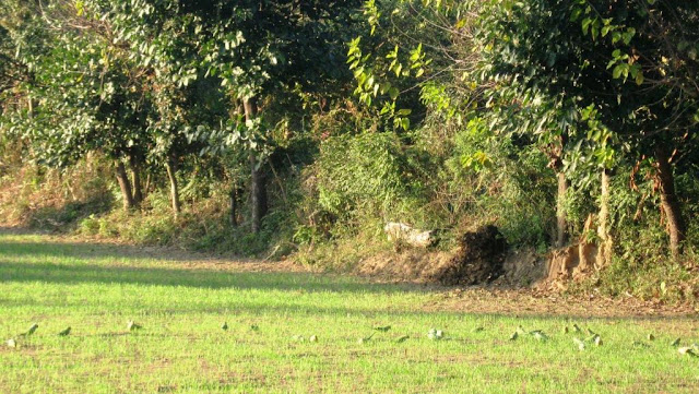 Puneet's Travel Blog.: A little about village Bidholi