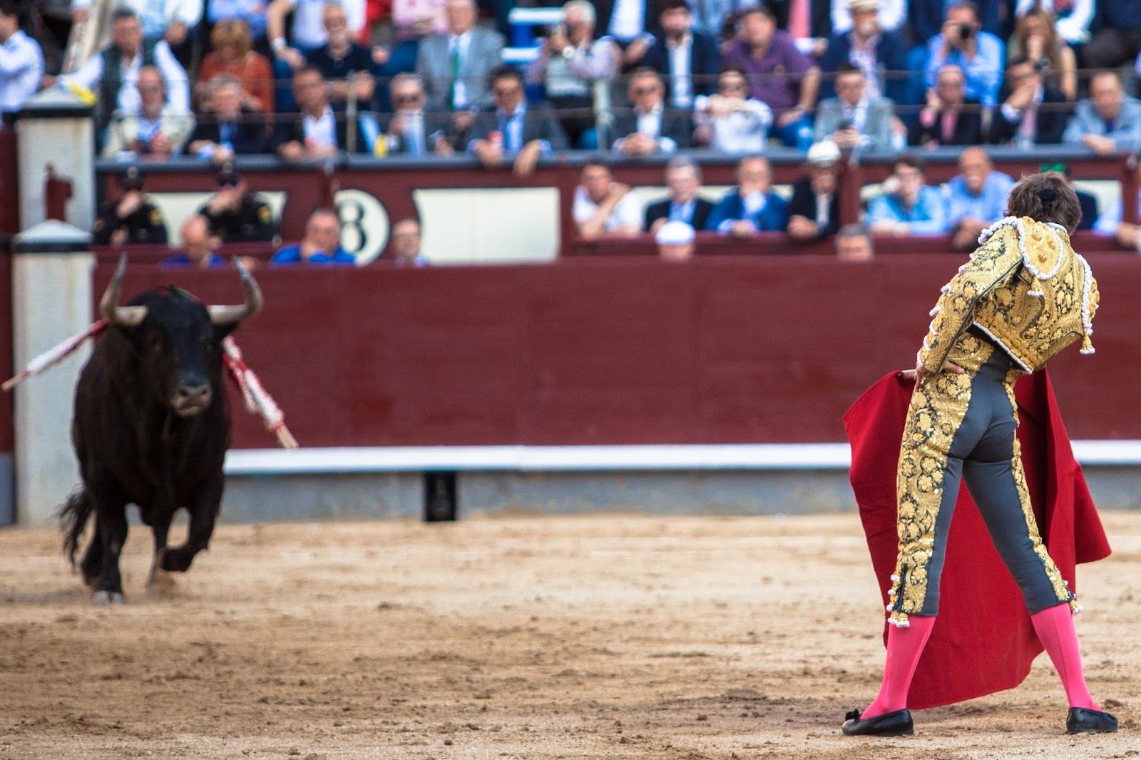 EL RETOÑAL: HECHIZO DE TORO Y TORERO GRANDE