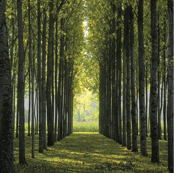 McKenna Jones Photography: Charlie Waite (Pt 2): Techniques