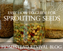 Homestead Revival: Sprouting Edible Seeds